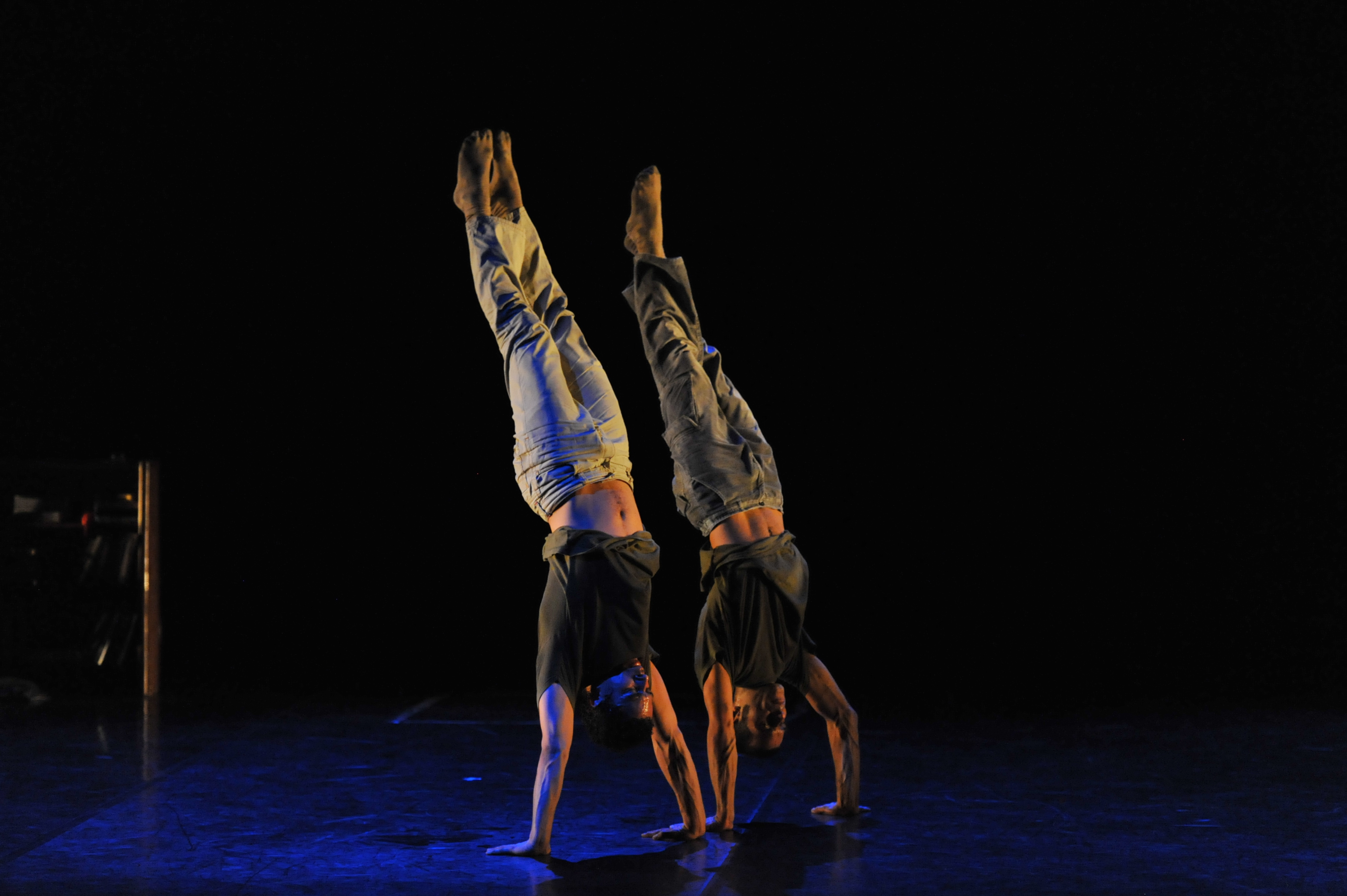 RITES - Company Chameleon